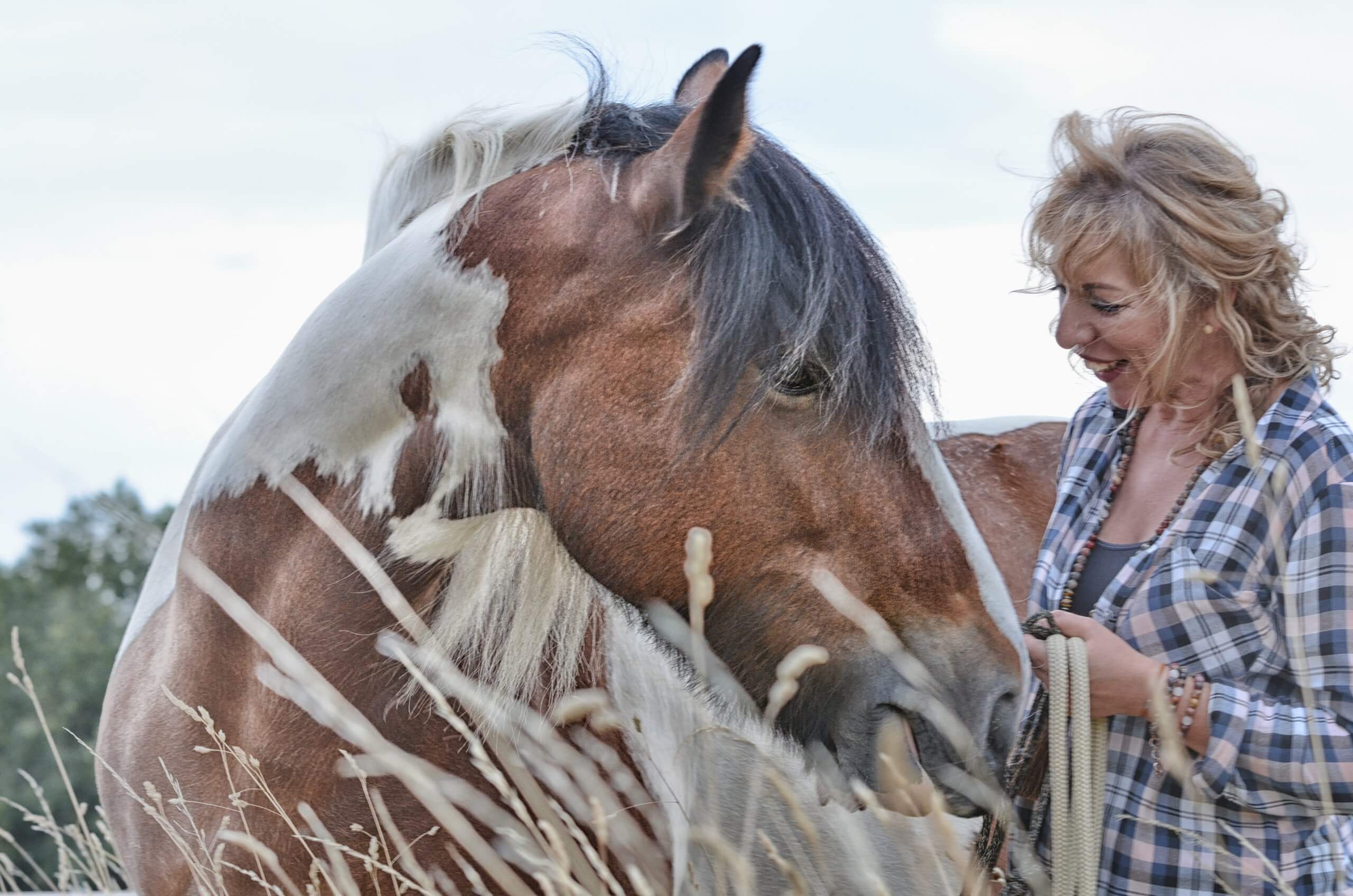 Consultation | Trust Technique
