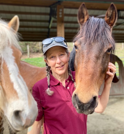 Consultation – Trust Technique